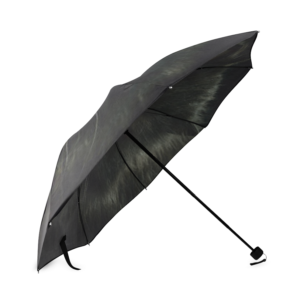 Black Cat Foldable Umbrella (Model U01) | ID: D793219