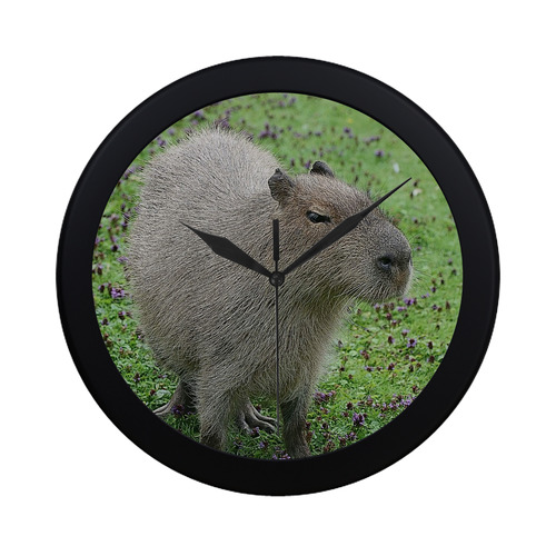 cute capybara Circular Plastic Wall clock | ID: D796145