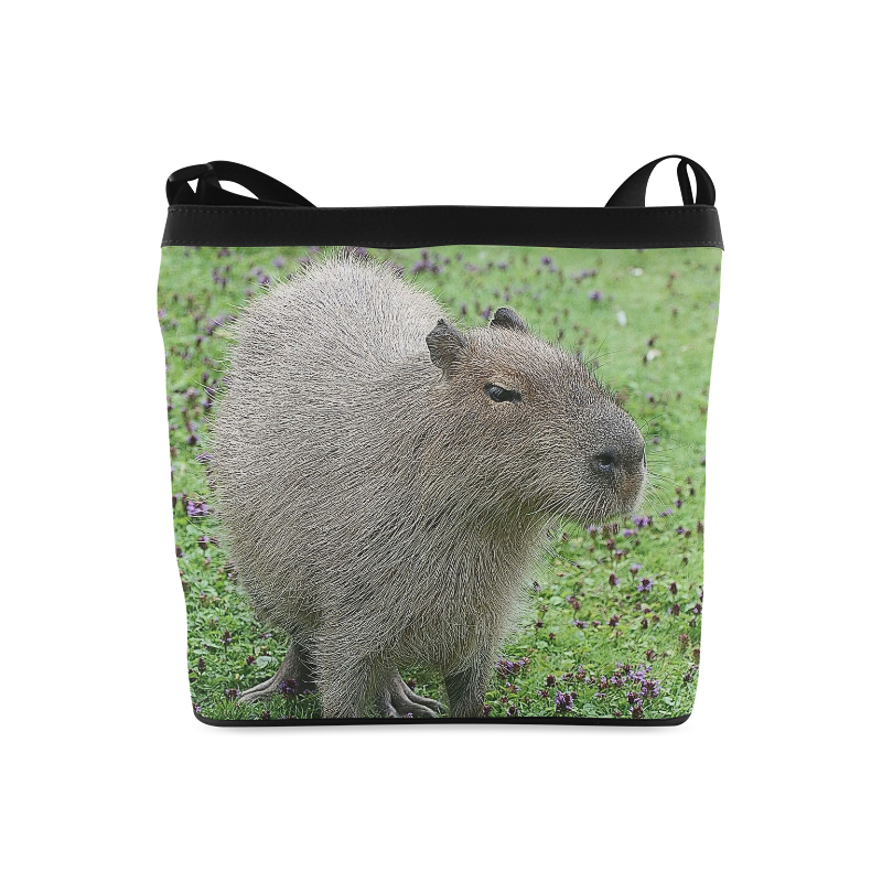 cute capybara Crossbody Bags (Model 1613) | ID: D801802