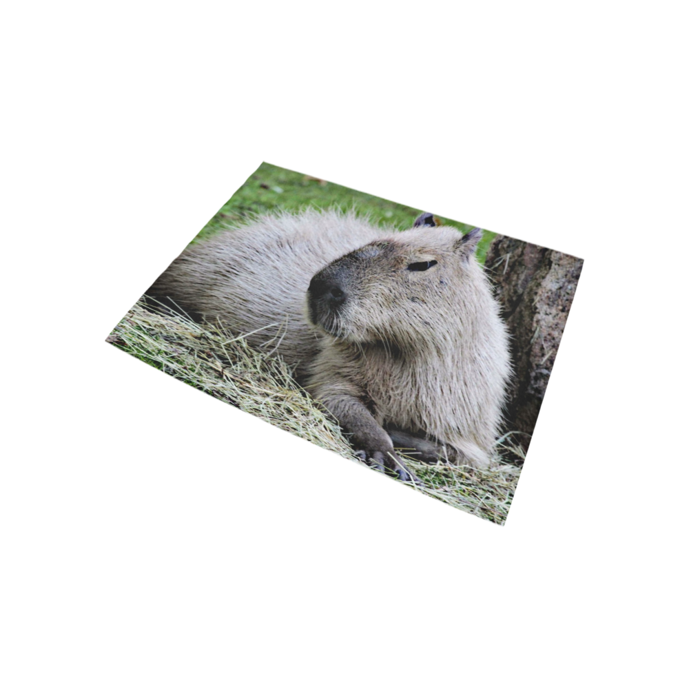 capybara Area Rug 5'3''x4' | ID: D824043