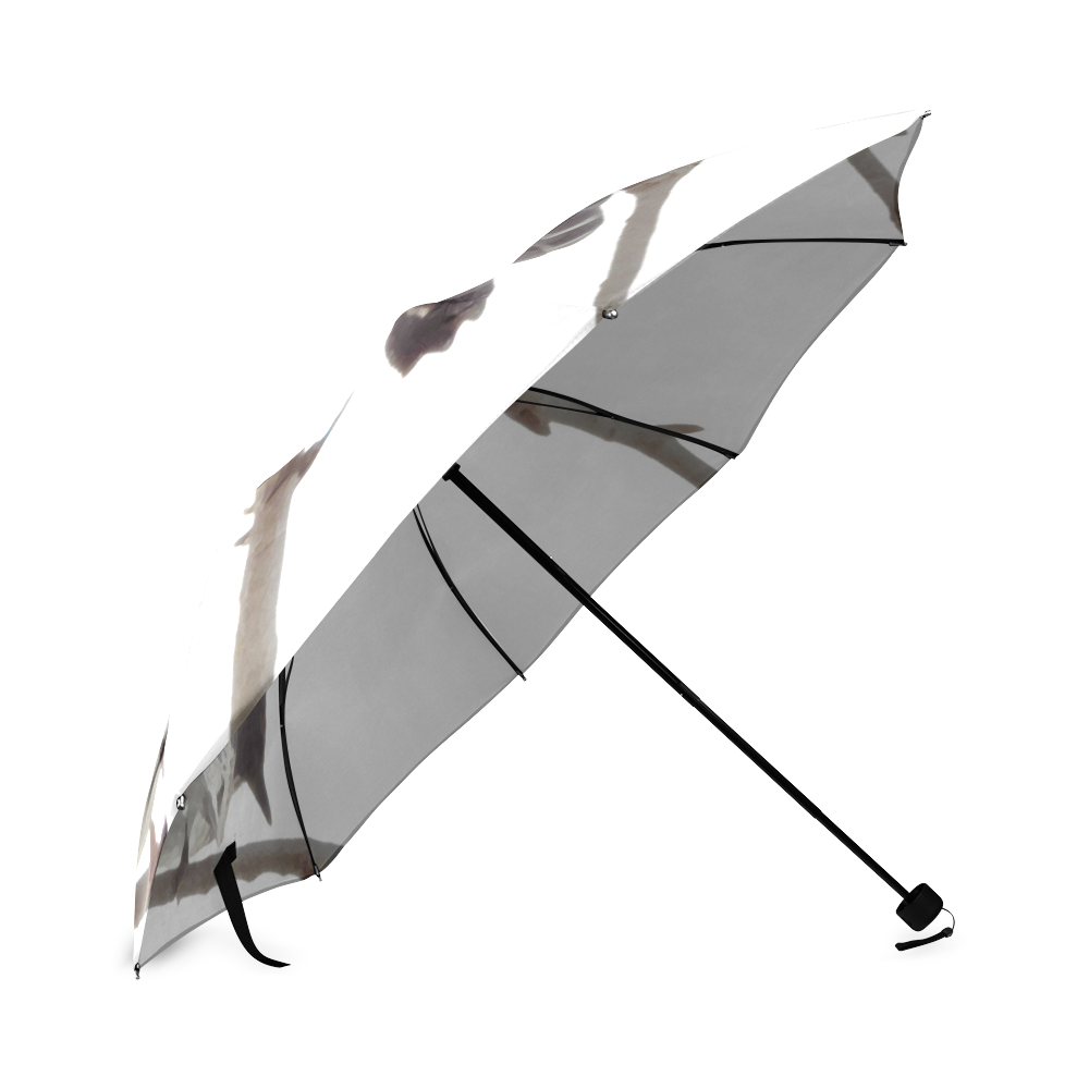 Winter Birds Foldable Umbrella (Model U01) | ID: D1241766
