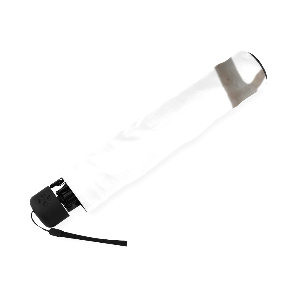Winter Birds Foldable Umbrella (Model U01) | ID: D1241766