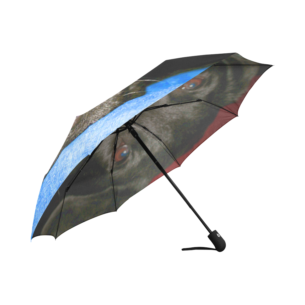 Black Labrador Retriever Dog Portraits Auto-Foldable Umbrella (Model ...