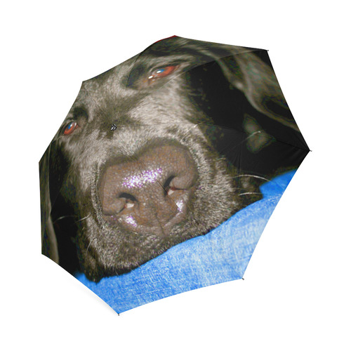 Black Labrador Retriever Dog Portraits Foldable Umbrella (Model U01 ...