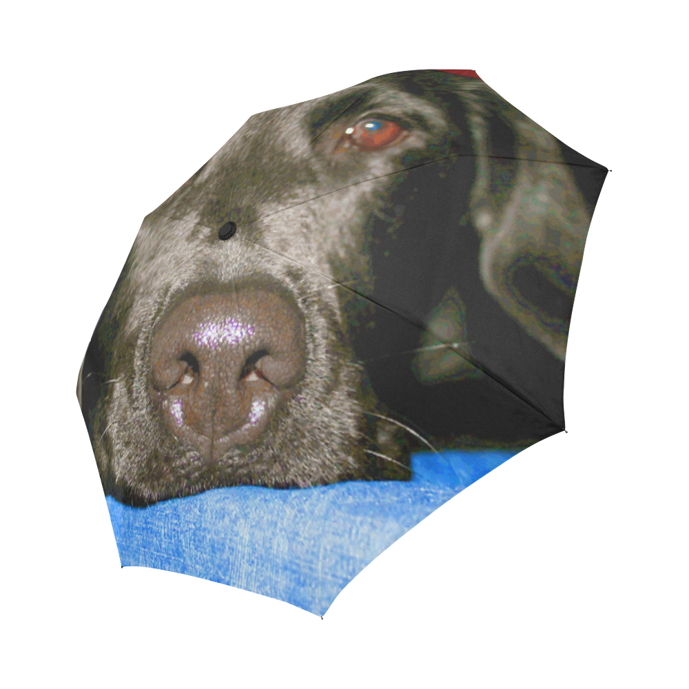 Black Labrador Retriever Dog Portraits Auto-Foldable Umbrella (Model ...