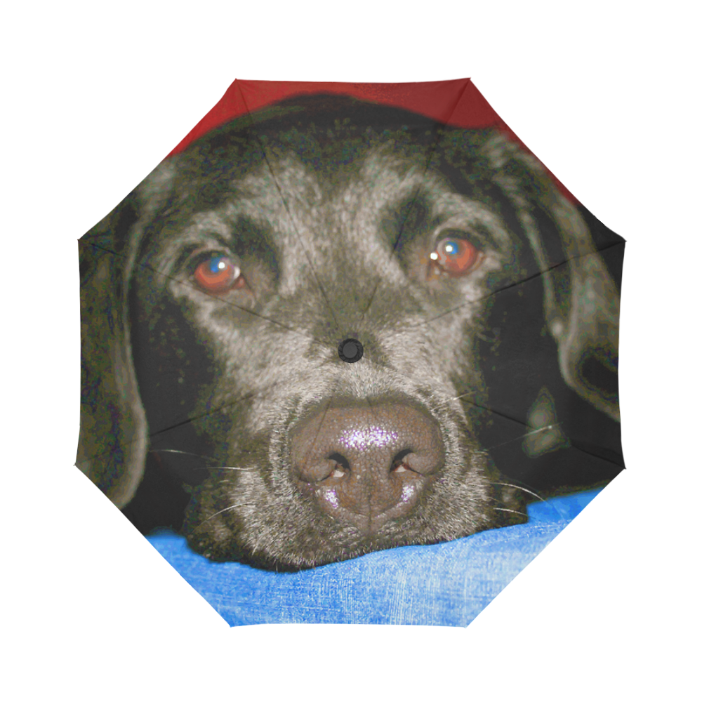 Black Labrador Retriever Dog Portraits Auto-Foldable Umbrella (Model ...
