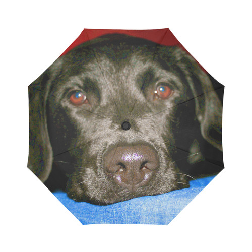 Black Labrador Retriever Dog Portraits Auto-Foldable Umbrella (Model ...