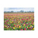Poppy Fields Cloudy Sky Landscape Cotton Linen Wall Tapestry 80"x 60 ...