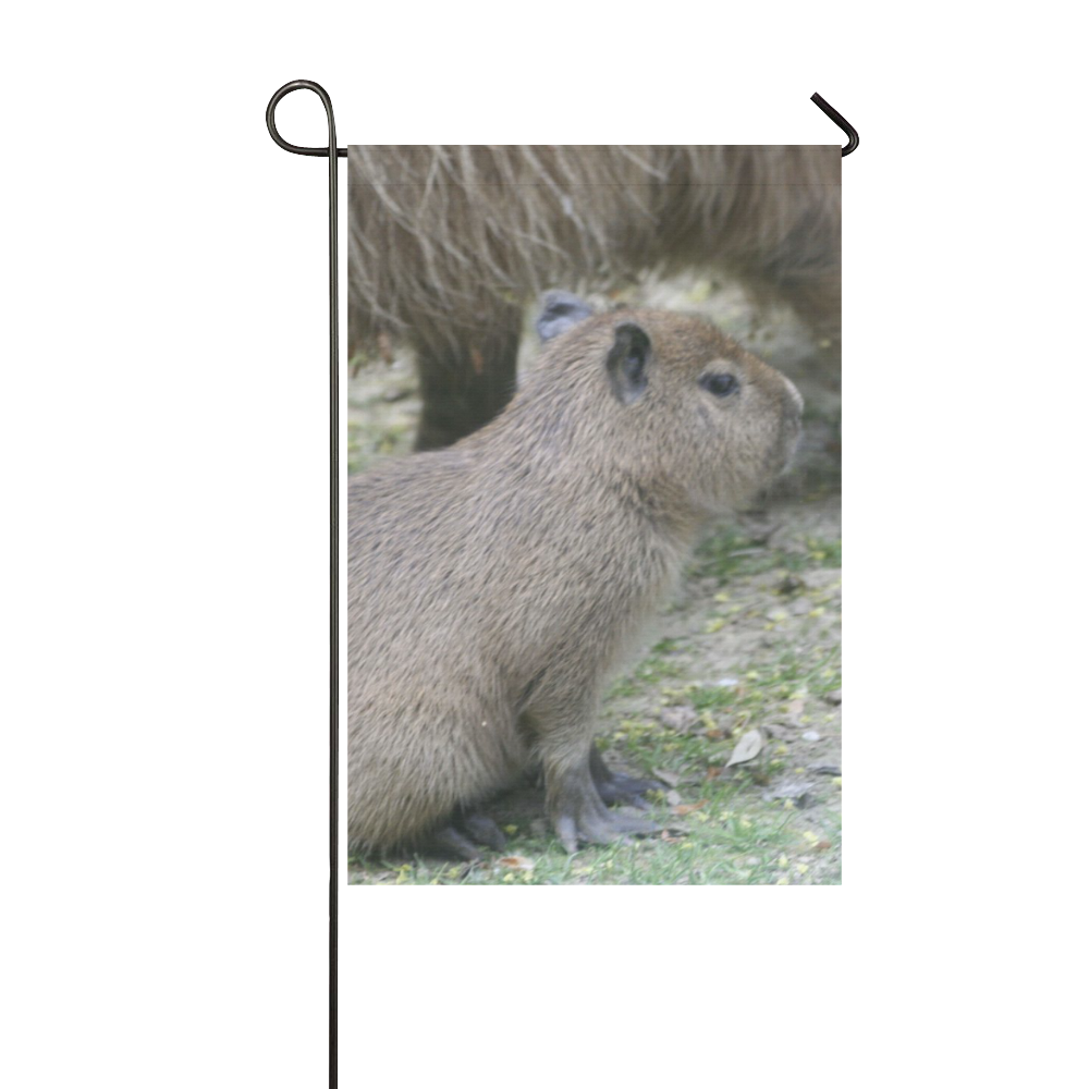 capybara baby Garden Flag 12‘’x18‘’（Without Flagpole） | ID: D1334431