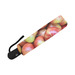Autumn Apples Red Green Fruit Auto-Foldable Umbrella (Model U04) | ID ...