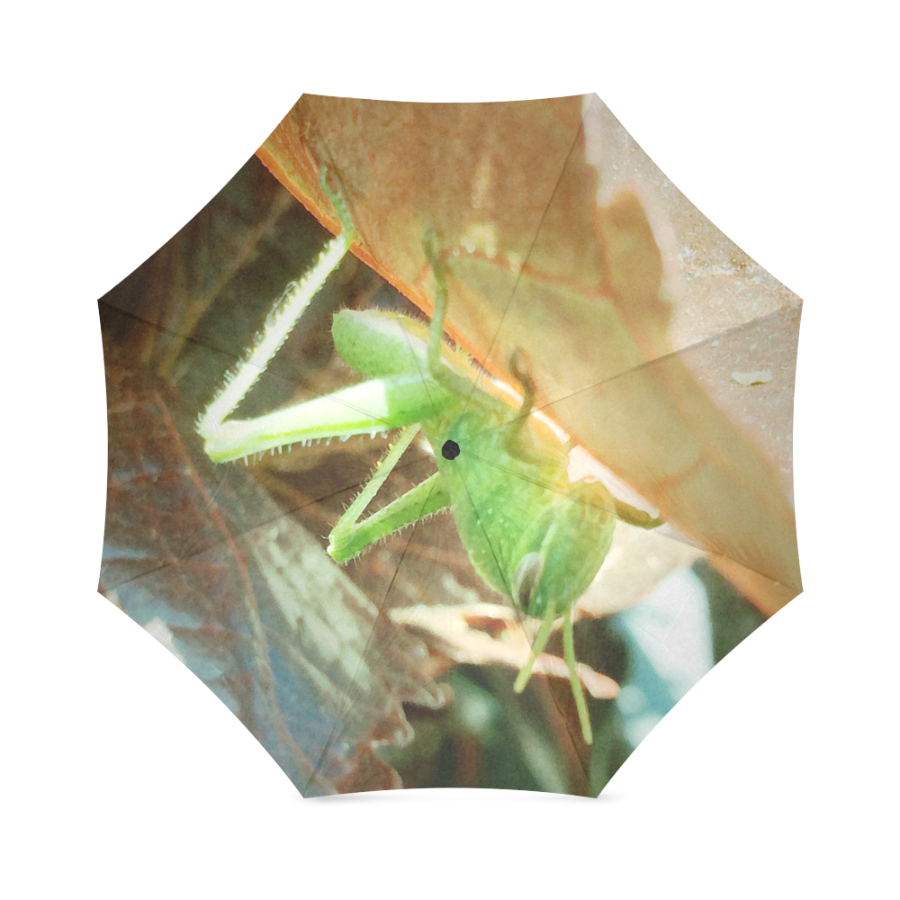 Baby Praying Mantis Nature Insects Foldable Umbrella (Model U01) | ID ...