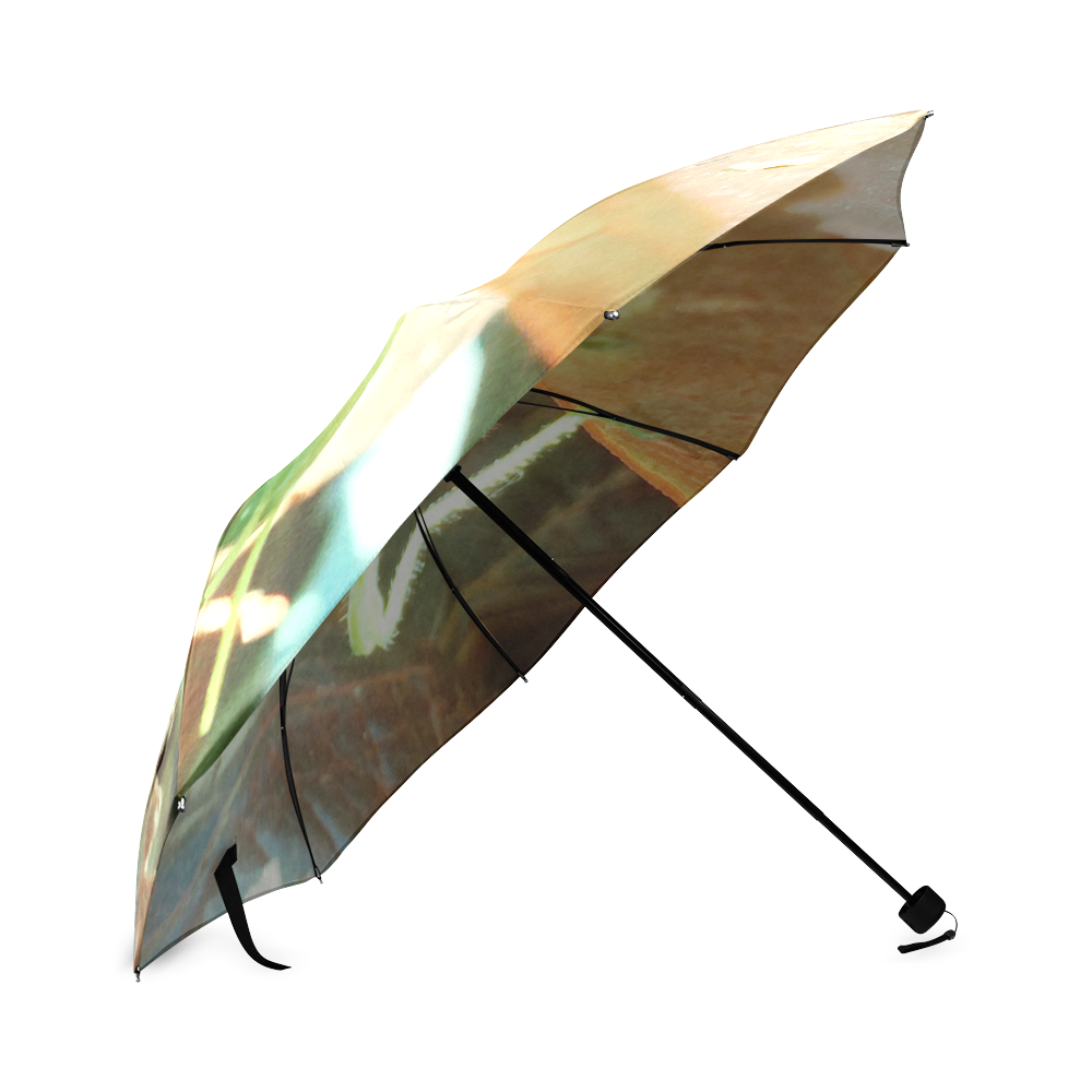 Baby Praying Mantis Nature Insects Foldable Umbrella (Model U01) | ID ...