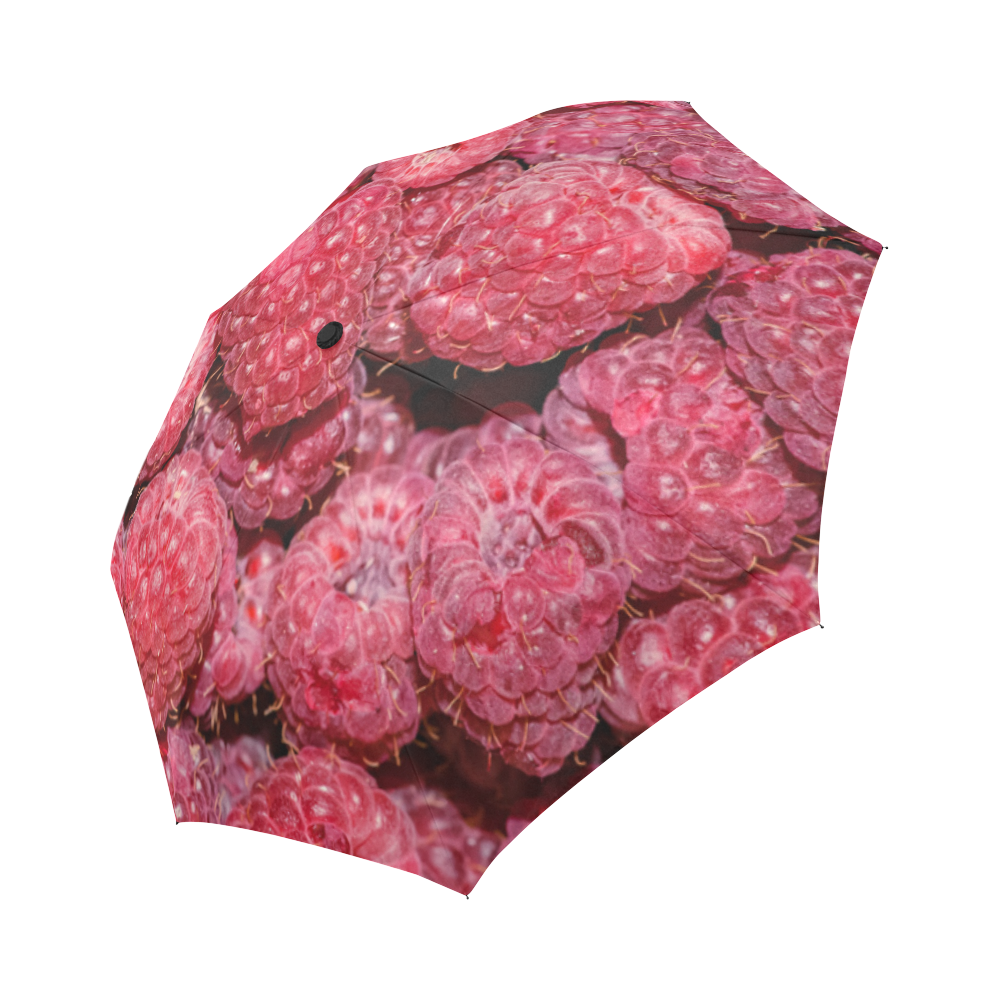 Yummy raspberries Auto-Foldable Umbrella (Model U04) | ID: D1899246