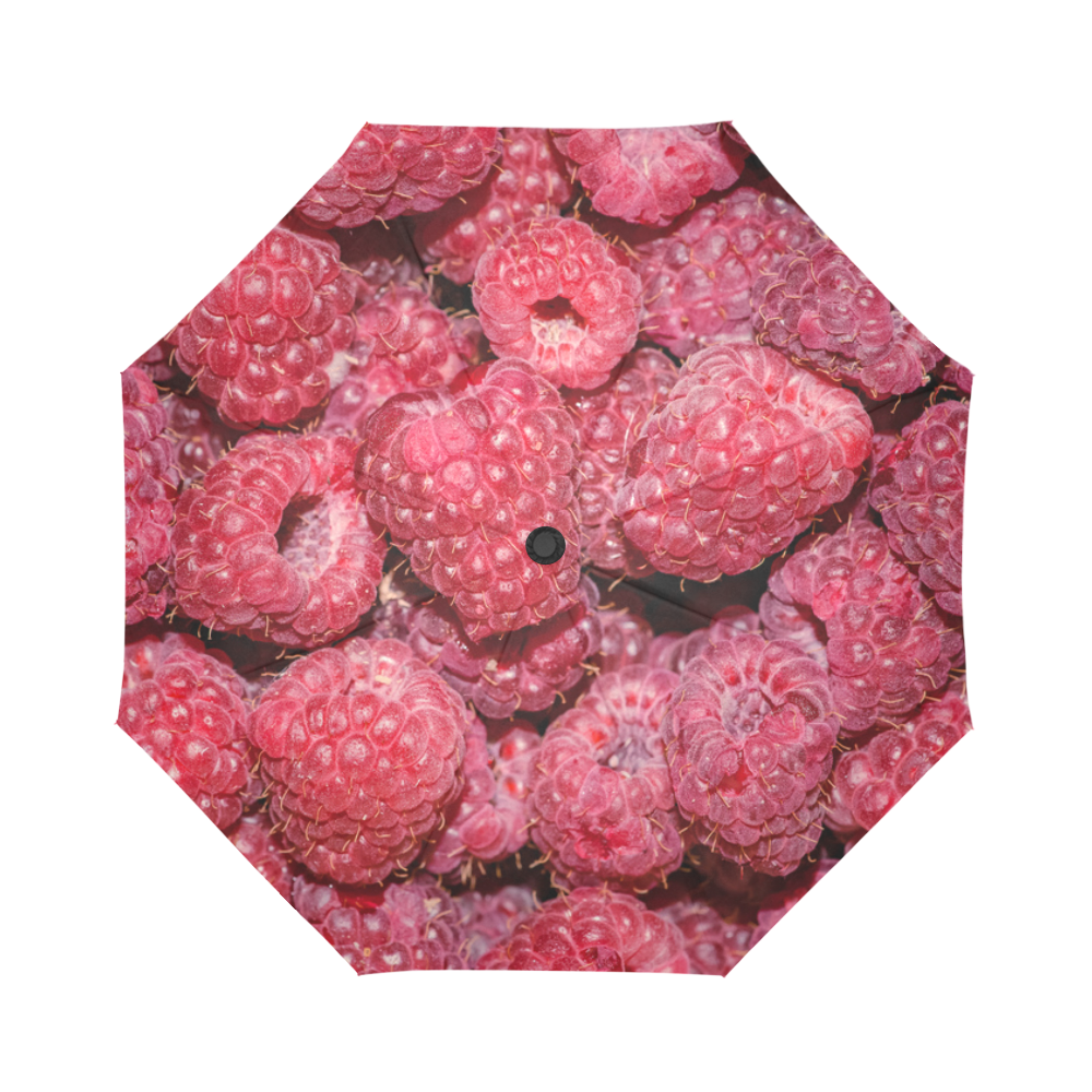 Yummy raspberries Auto-Foldable Umbrella (Model U04) | ID: D1899246