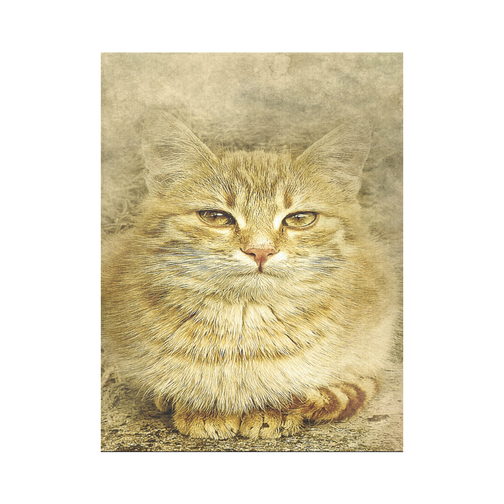Orange Tabby Cat Cotton Linen Wall Tapestry 60"x 80" | ID: D1907298