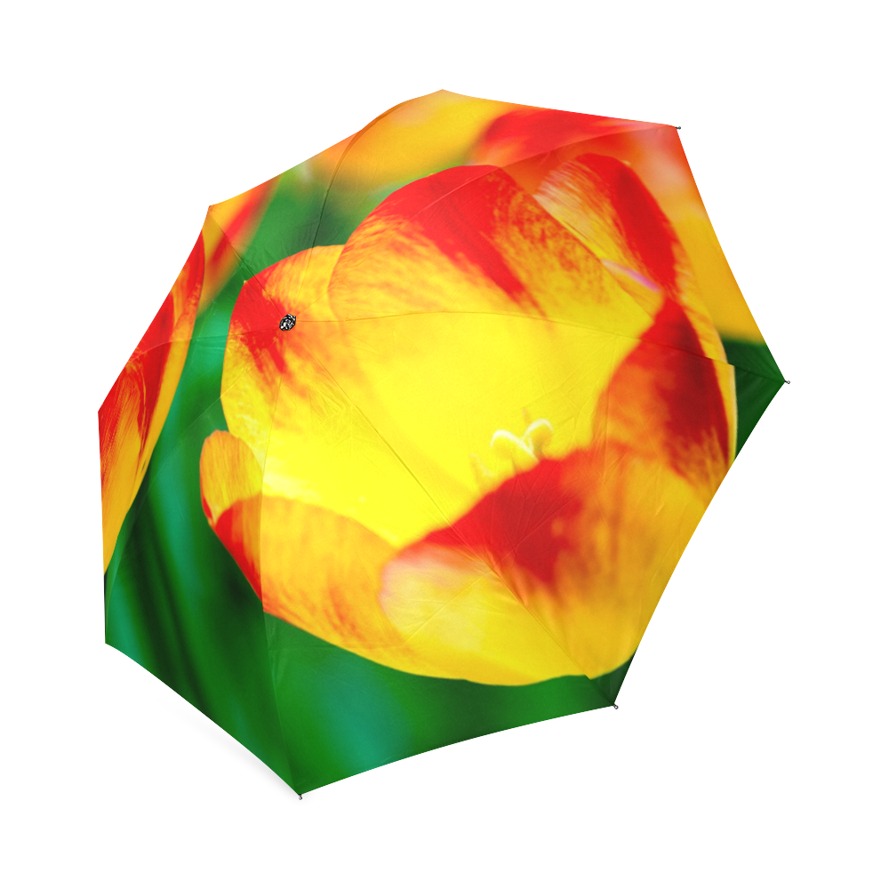 tulip flower flora red yellow green color spring Foldable Umbrella ...